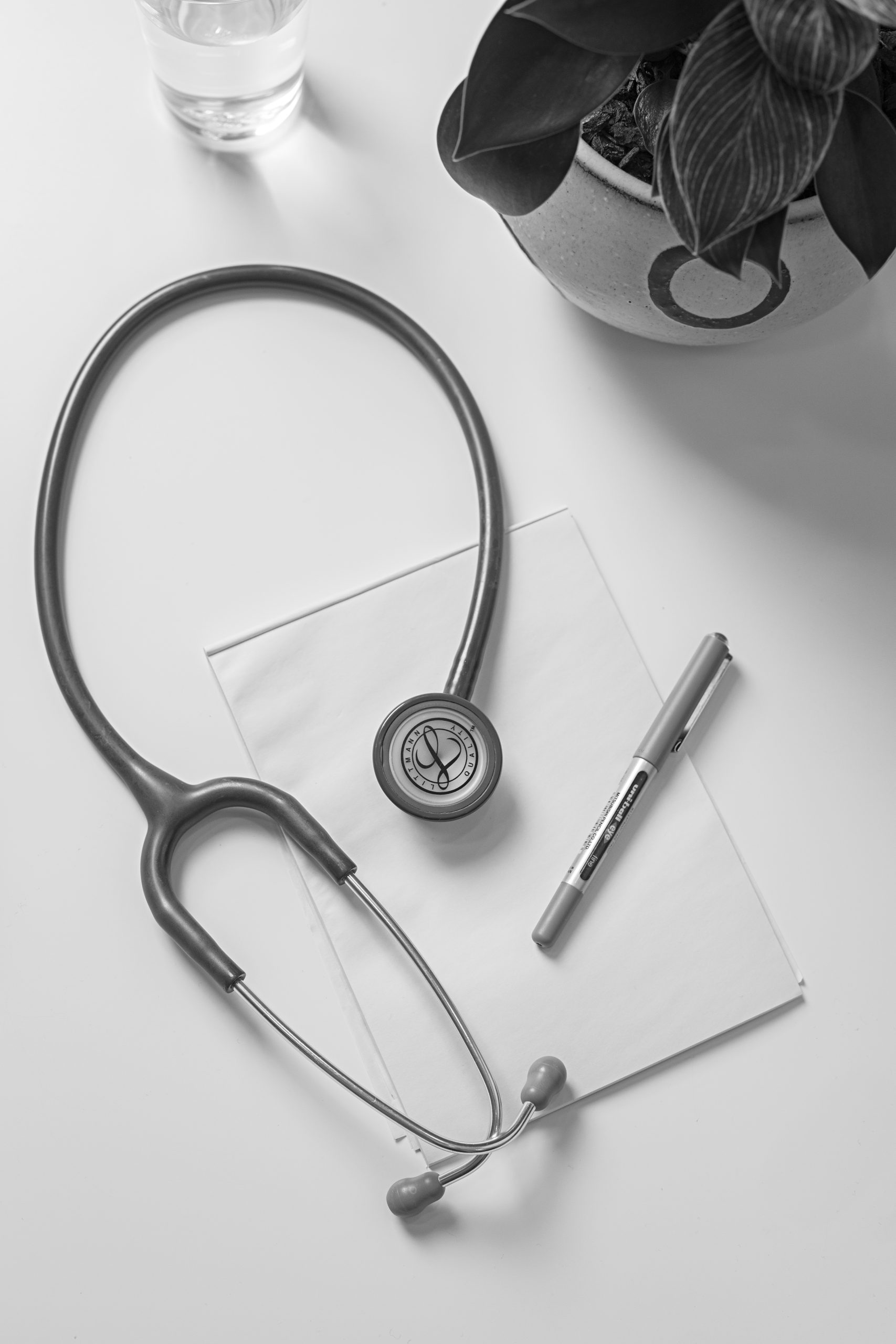 Gynaecologist Dr Vicki Carson | Frances Perry House Melbourne